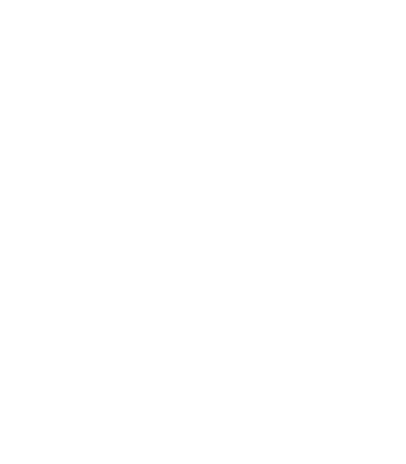 Company | Euphoria Media Group | Label & Artist Services Provider
