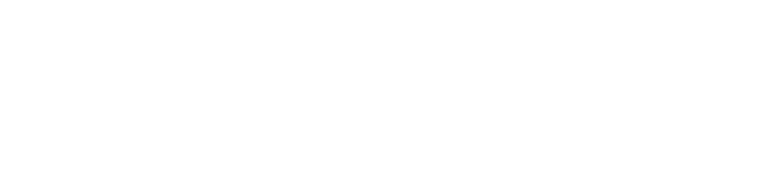 Company | Euphoria Media Group | Label & Artist Services Provider